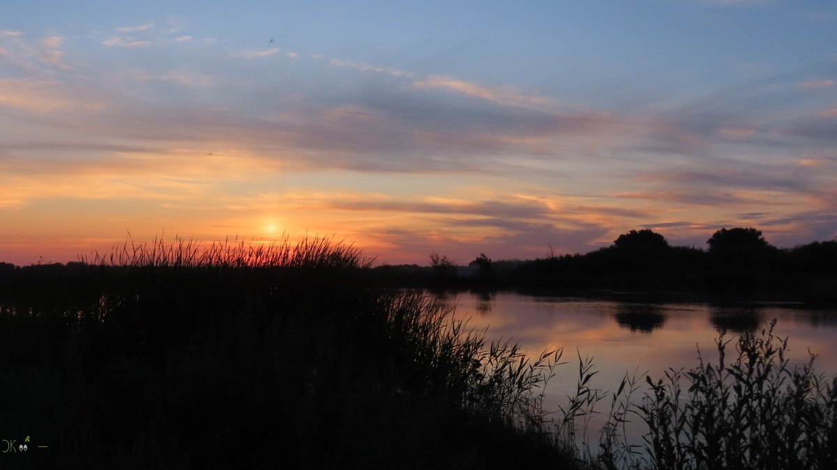 Закат. Круги на воде. Котенок вышел на охоту