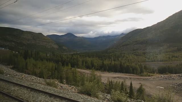 часть 13. с Meizu 21(2)-22.08.2023