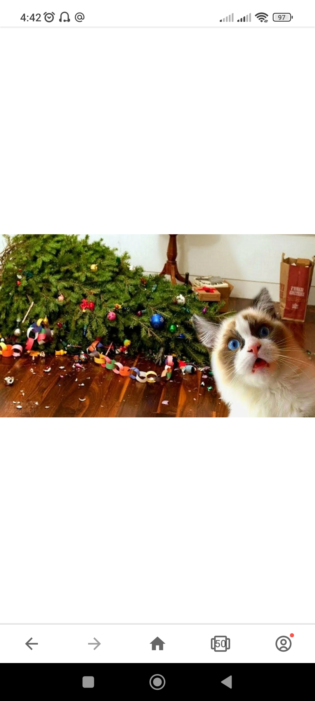 ?Почему эти ЖИВОТНЫЕ такие смешные? ВЫПУСК- N°24,  ПРИКОЛЫ КОТЫ, СОБАКИ,ШИМПАНЗЕ, ПОПУГАИ?