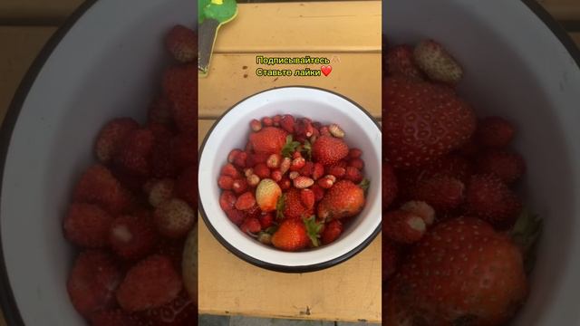 Когда предложила мужу полететь на отдых в Турцию, а он сказал будем сидеть дома экономить.