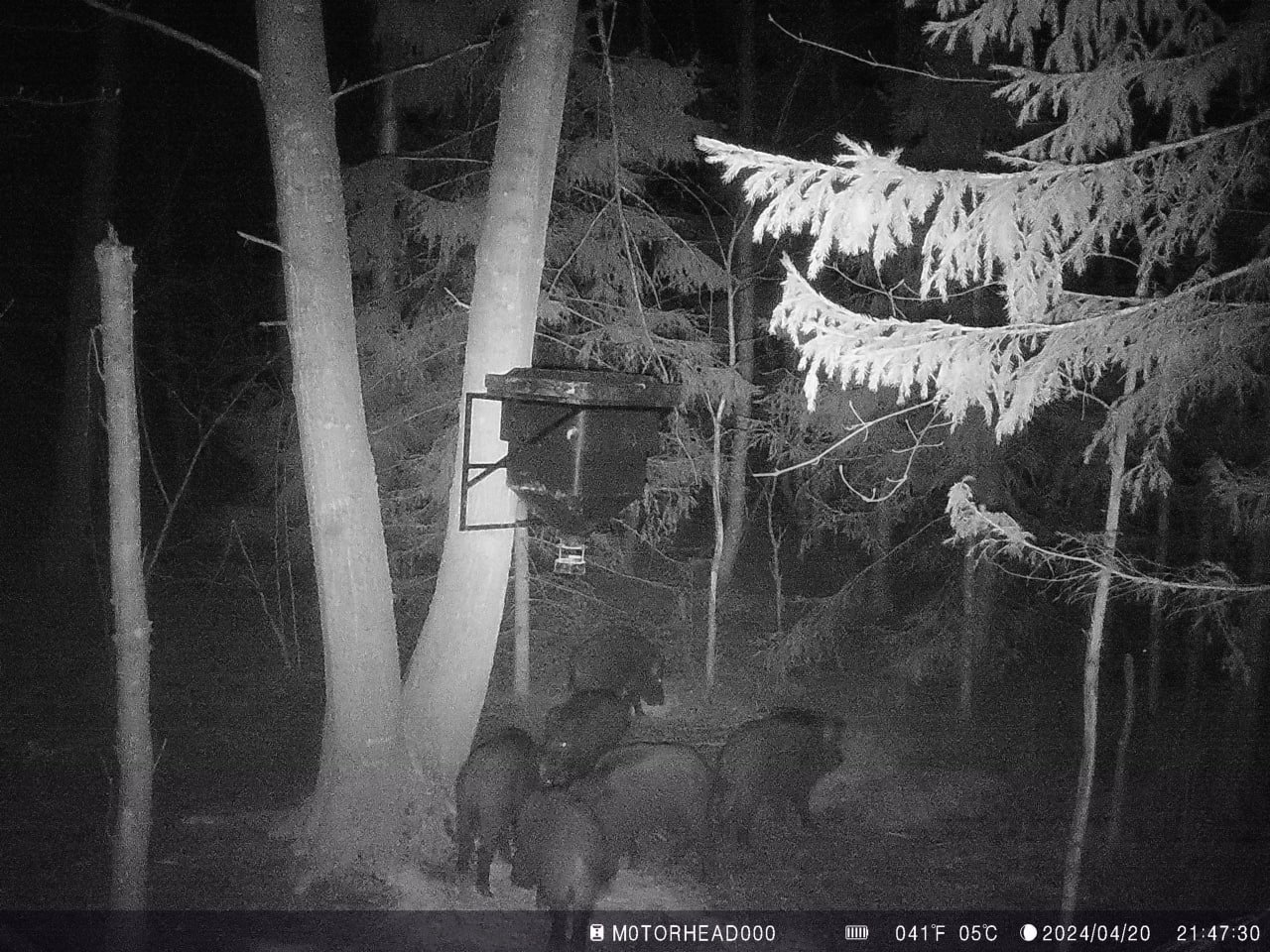 Автоматическая кормушка российского производителя.