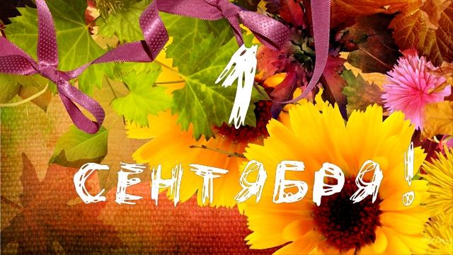 14 поздравления с 1 сентября