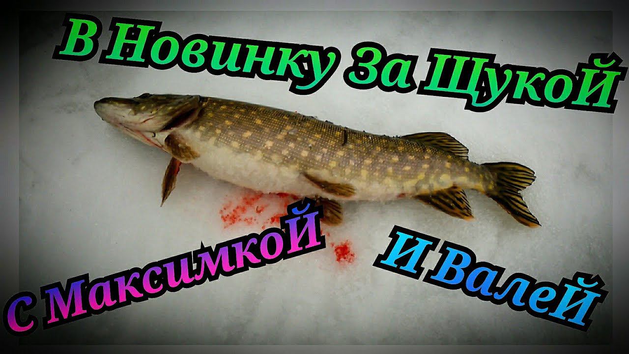 Зимняя рыбалка в"4к" на жерлицы на Рыбинском водохранилище !!!