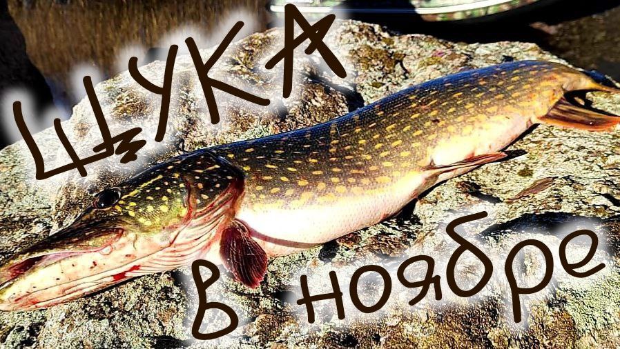 Рыбалка щука ноябре , рыбаки потерялись в тумане , Pike fishing in November, fishermen lost in the f