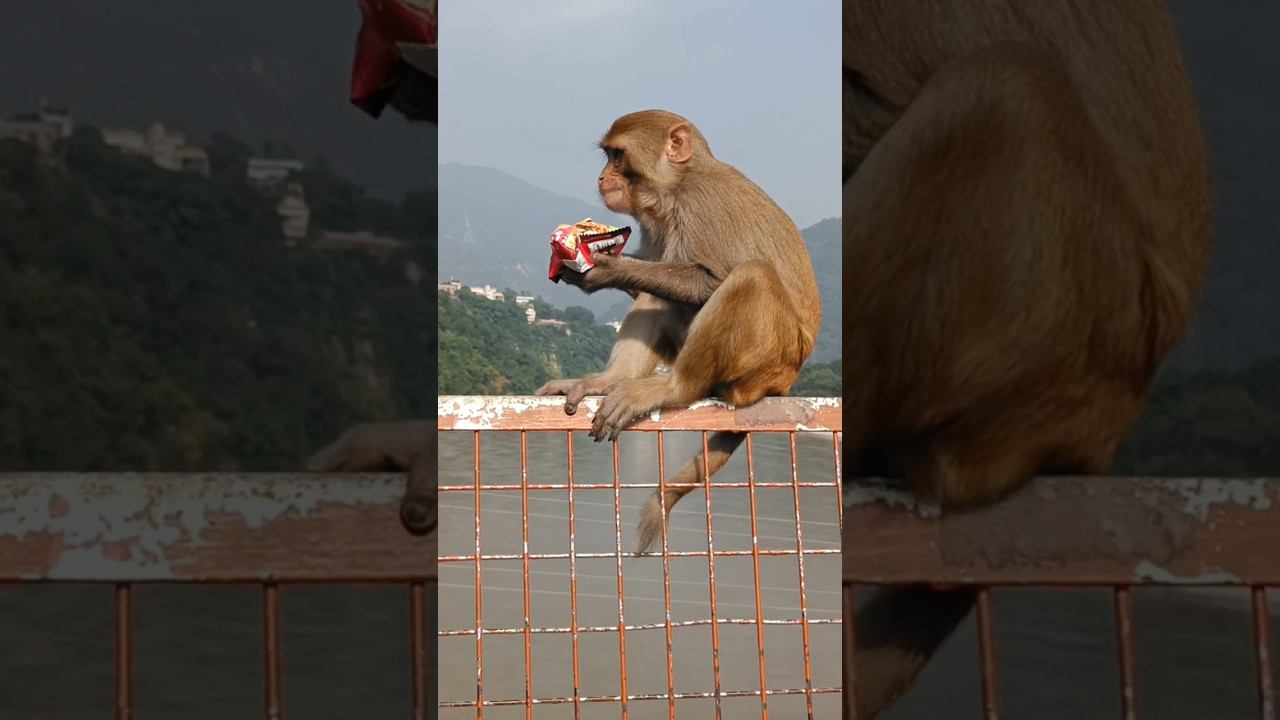 Приятного аппетита!