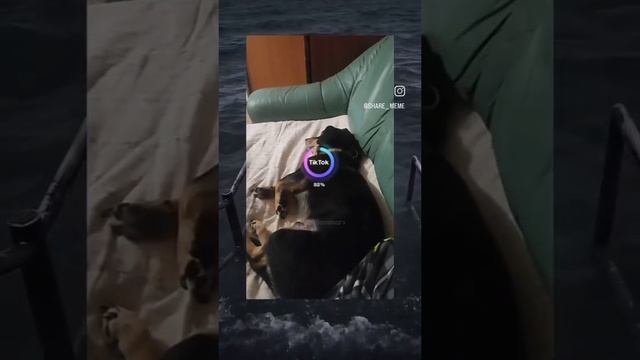 Графика не по плану