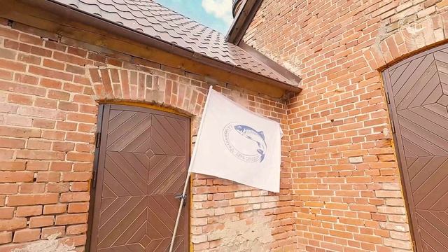 Беседы под селёдку. Наталия Курьянович, музыкант