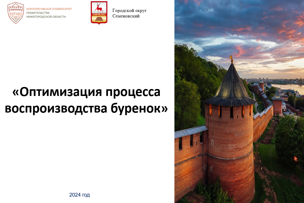 Оптимизация процесса воспроизводства буренок