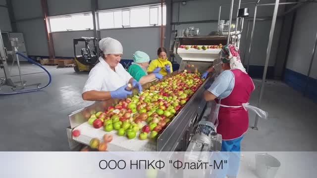 Линия производства фруктового пюре (переработка яблок)