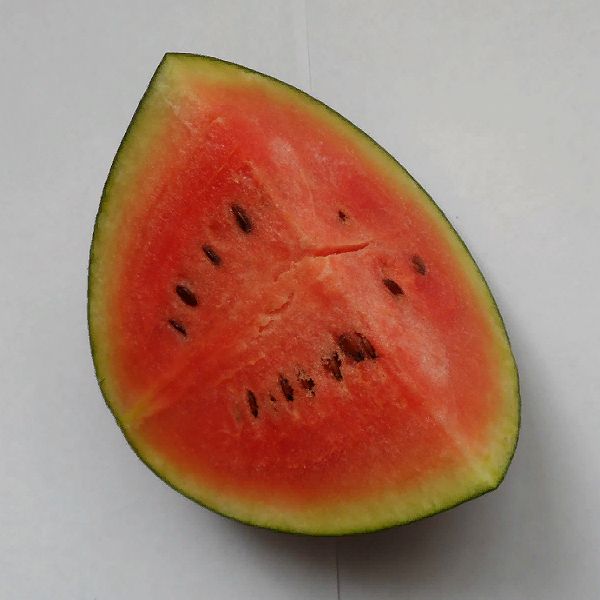 Арбуз всегда созреет у вас на огороде. Арбуз сорта "Вьетнамский". Семена.