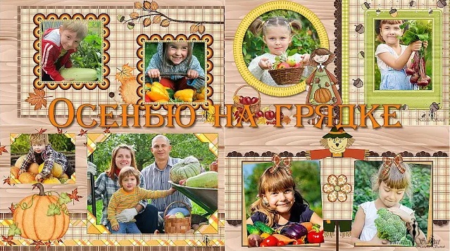 Осенью на грядке | Autumn in the garden | Styles for ProShow Producer