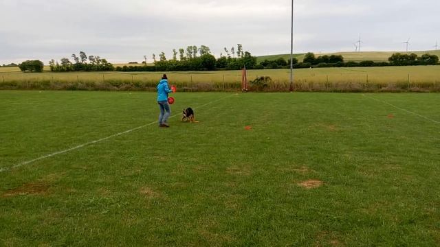 Qualifier Austria'17 Andrea & Cosmo R2.mp4