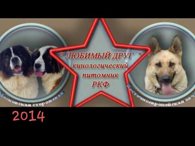 Питомник "Любимый друг" 2014