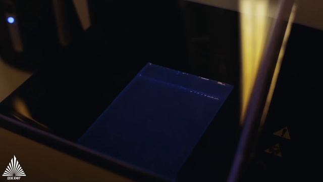 Сохранение генетического разнообразия растений в ЮФУ