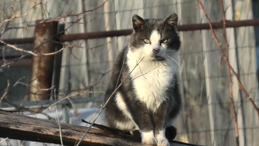 22-29 04 2023г на даче,Новодвинск ул.3-ей Пятилетки