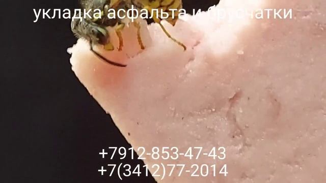 Берри Хилс ул.Софийская 6 Ижевск Укладка асфальта и брусчатки. +7912-853-47-43 или +7(3412)77-20-14