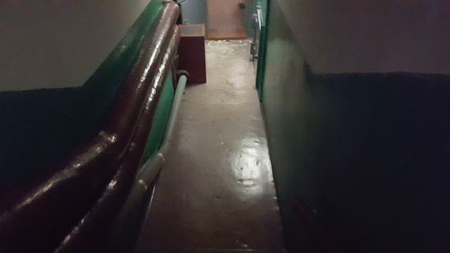 Убежище Мэрии Ярославля 2022 г