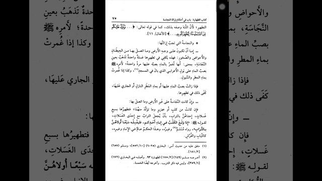 Краткое изложение фикха. Устранение нечистот 1.