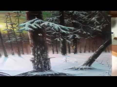 Закат в сосновом лесу