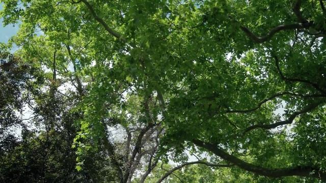 Красивая музыка Когда придет Весна