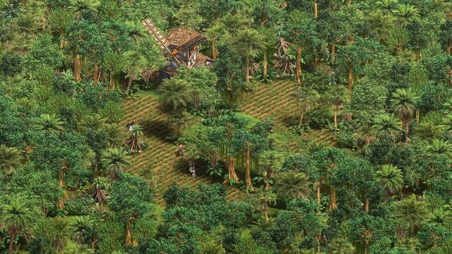 AoE2 Ambience - Tropical Farm