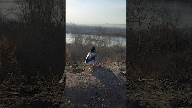 Уточки города Красноярска