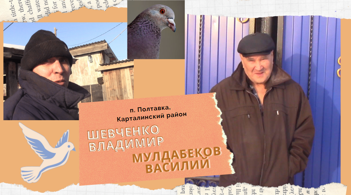 Голубятники Шевченко Владимир и Мулдабеков Василий\ п. Полтавка, Карталинский район.mp4