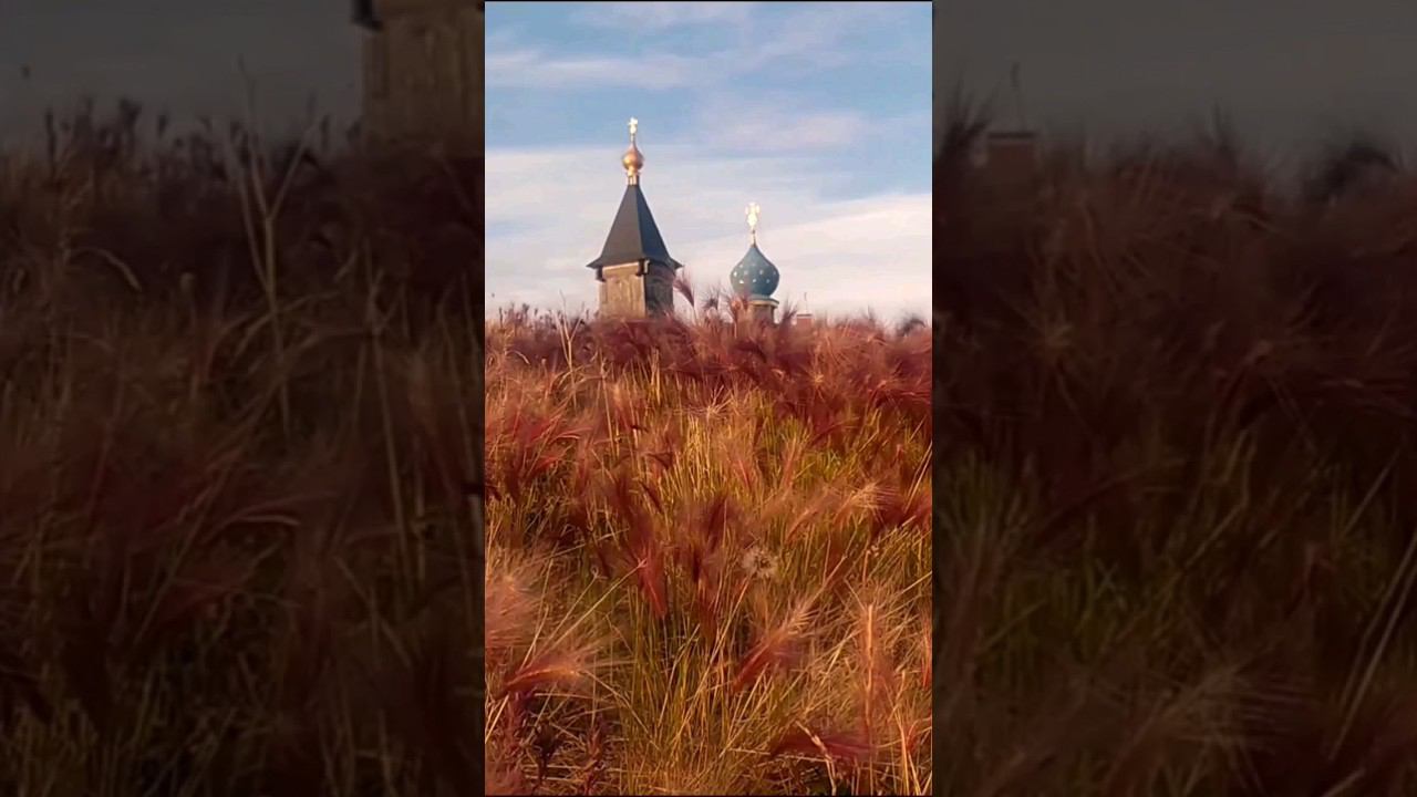 А зори здесь тихие, тихие