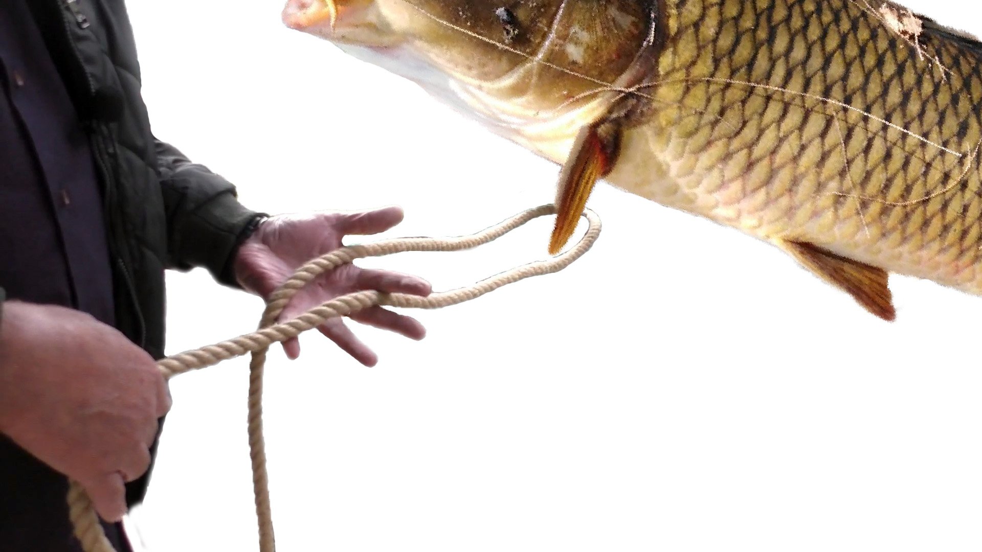 Калмыцкий узел