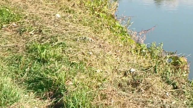 выходной, проверка рыбных мест.