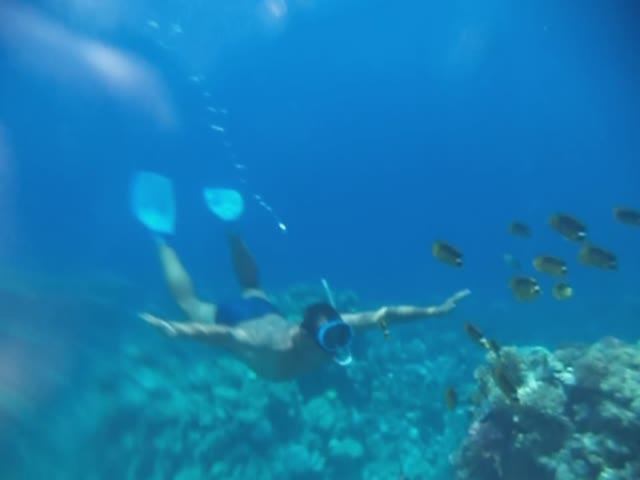 Египет. Шарм эль Шейх.  Бухта Рас Ум Эль Сид. Красное море.  Подводный мир 3. 2018