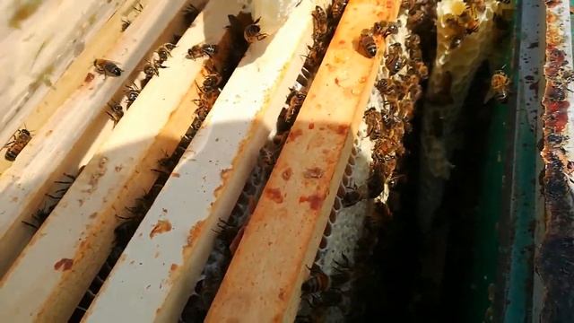 РОЗЫГРЫШ - ДАРИМ ПОДАРКИ ПОДПИСЧИКАМ !