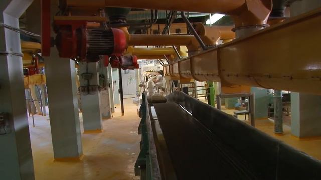 Карусельная фасовка муки в мешки, мешкопогрузочная машина