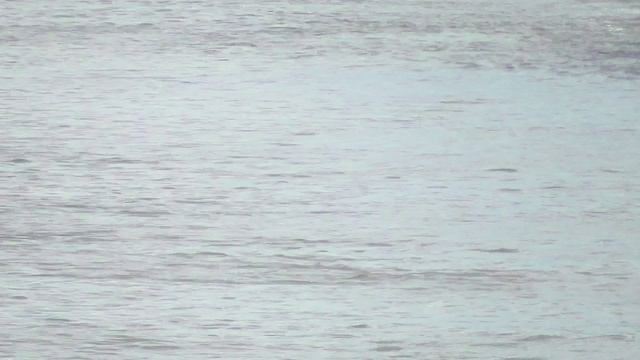 Отпуск 2023. Нижний Новгород - Пермь 20