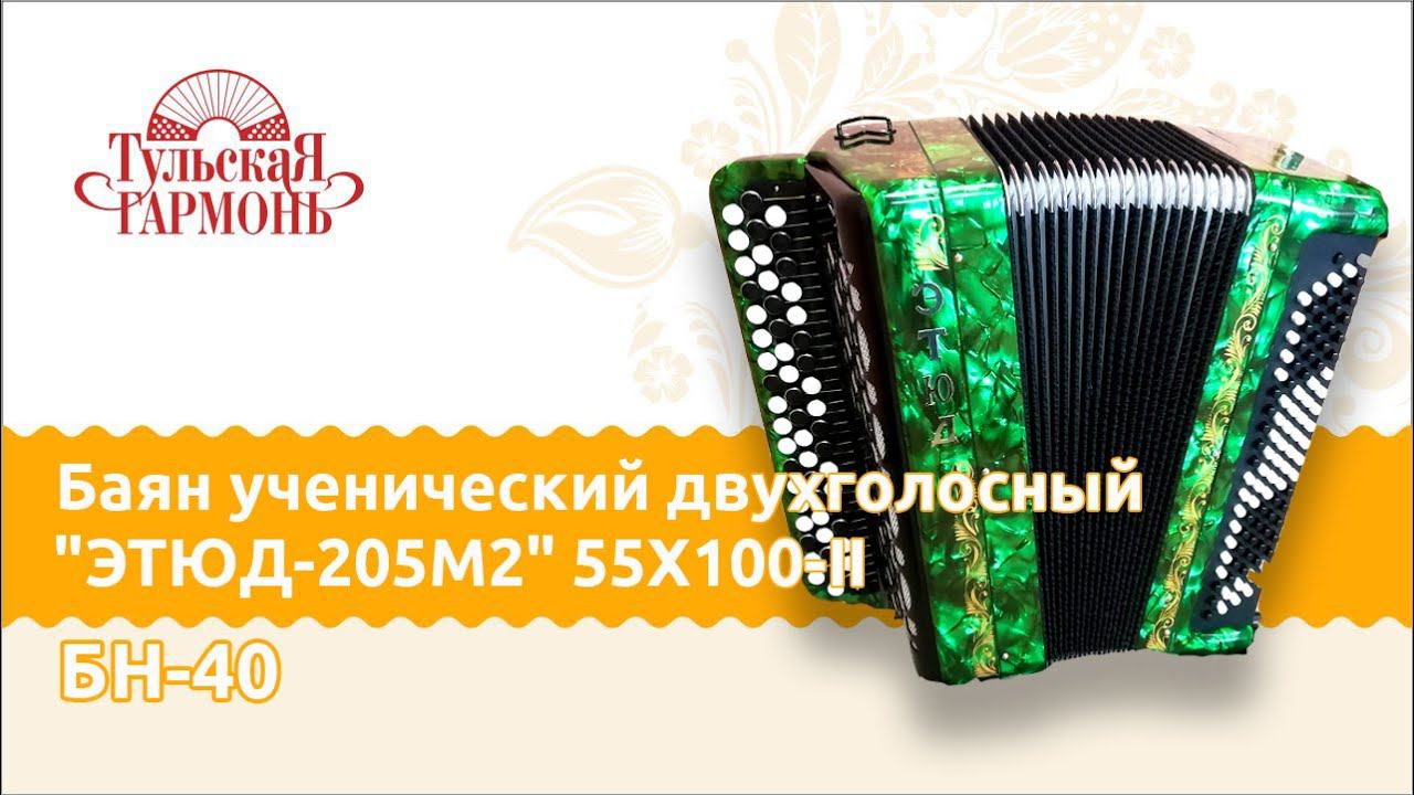обзор ученического баяна "Этюд 205 M2" 55Х100-II
