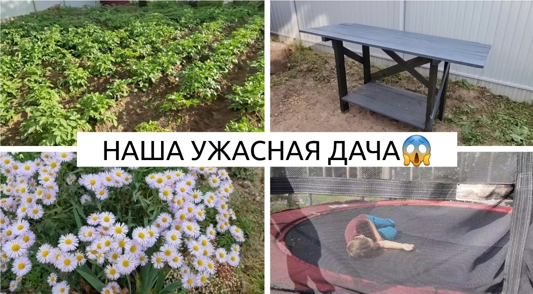 VLOG: НАША ДАЧА ПОСЛЕ 3-Х НЕДЕЛЬНОГО ОТСУТСТВИЯ? НОВЫЙ ВЕРСТАК⚒️ ИППОТЕРАПИЯ?