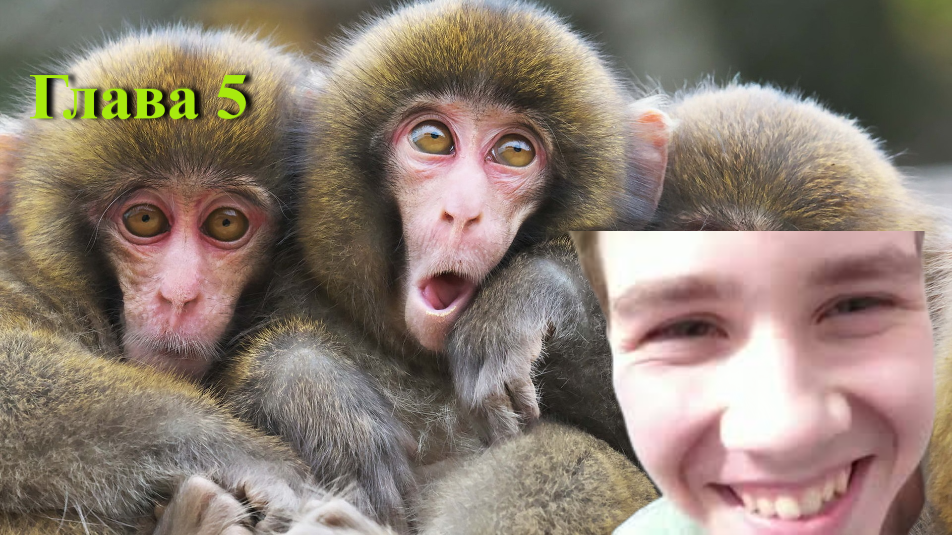 Глава 5 : Каменный век