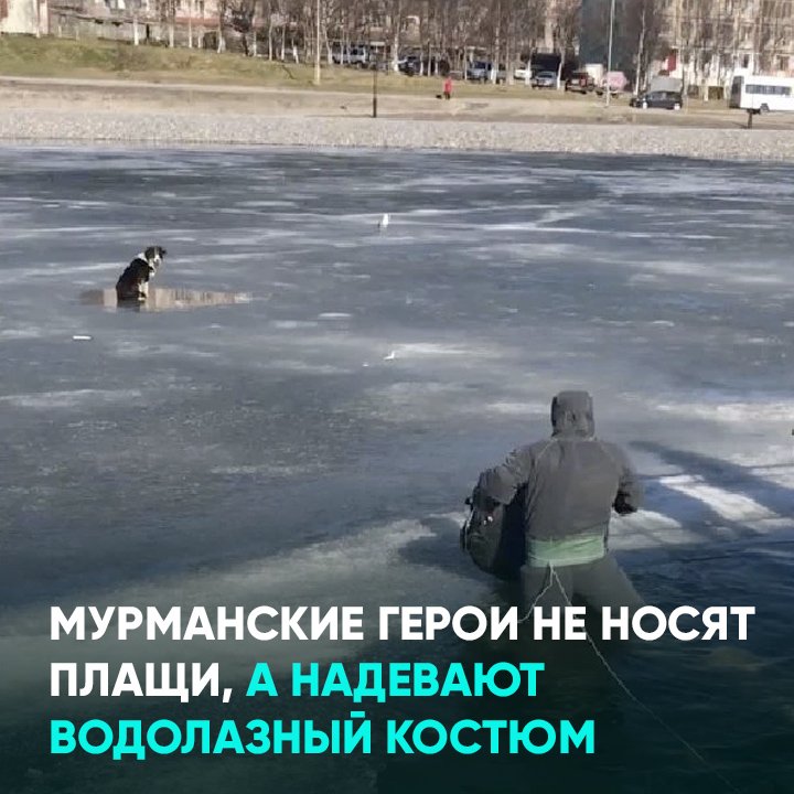 Мурманские герои не носят плащи, а надевают водолазный костюм