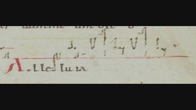 Alleluia-Tu es sacerdos