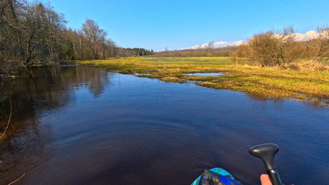 Сплав на сапе по речке Чёрная от Дибунов до Разлива, апрель 2024