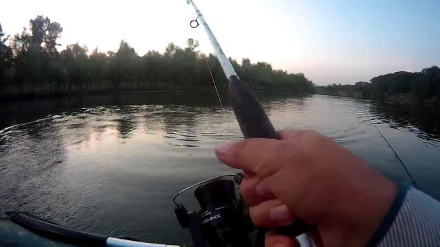 сом на воблер.рыбалка на дону