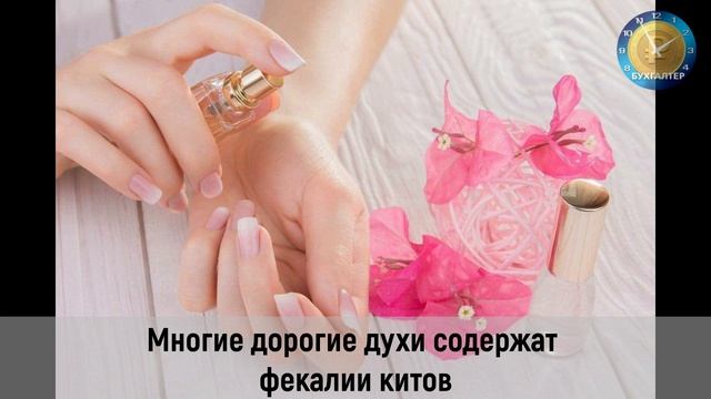 Верю_НЕ_Верю_08.mp4