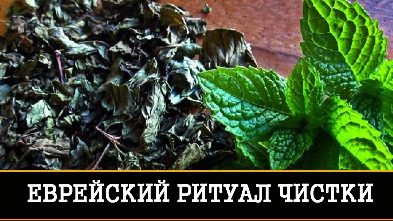 ОЧЕНЬ СИЛЬНЫЙ ЕВРЕЙСКИЙ РИТУАЛ ЧИСТКИ | ДЛЯ ВСЕХ | ИНГА ХОСРОЕВА | ВЕДЬМИНА ИЗБА