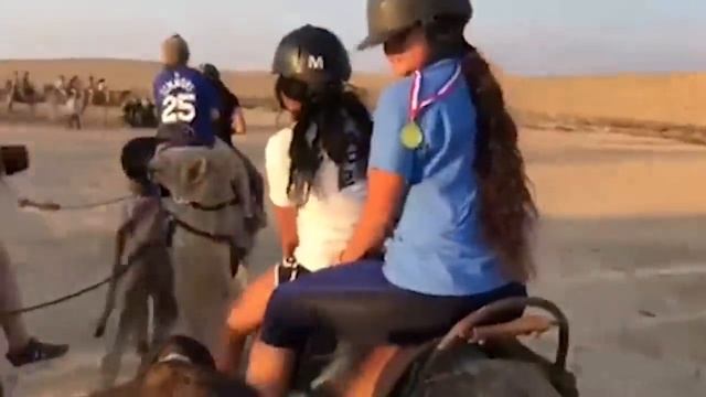 Неожиданные нападения животных! | Самые дикие моменты с животными