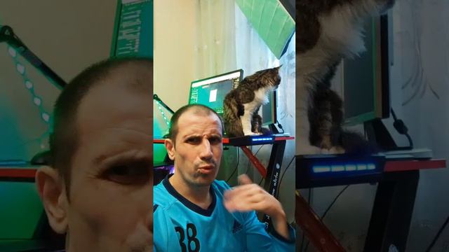 Трудимся _ День 88✅