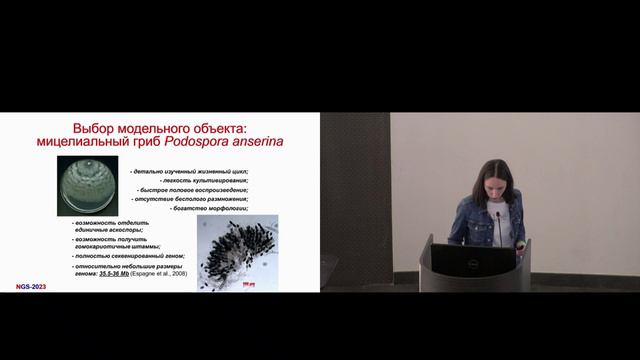 23.Многолетний эволюционный эксперимент на мицелиальном грибе Podospora anserina.