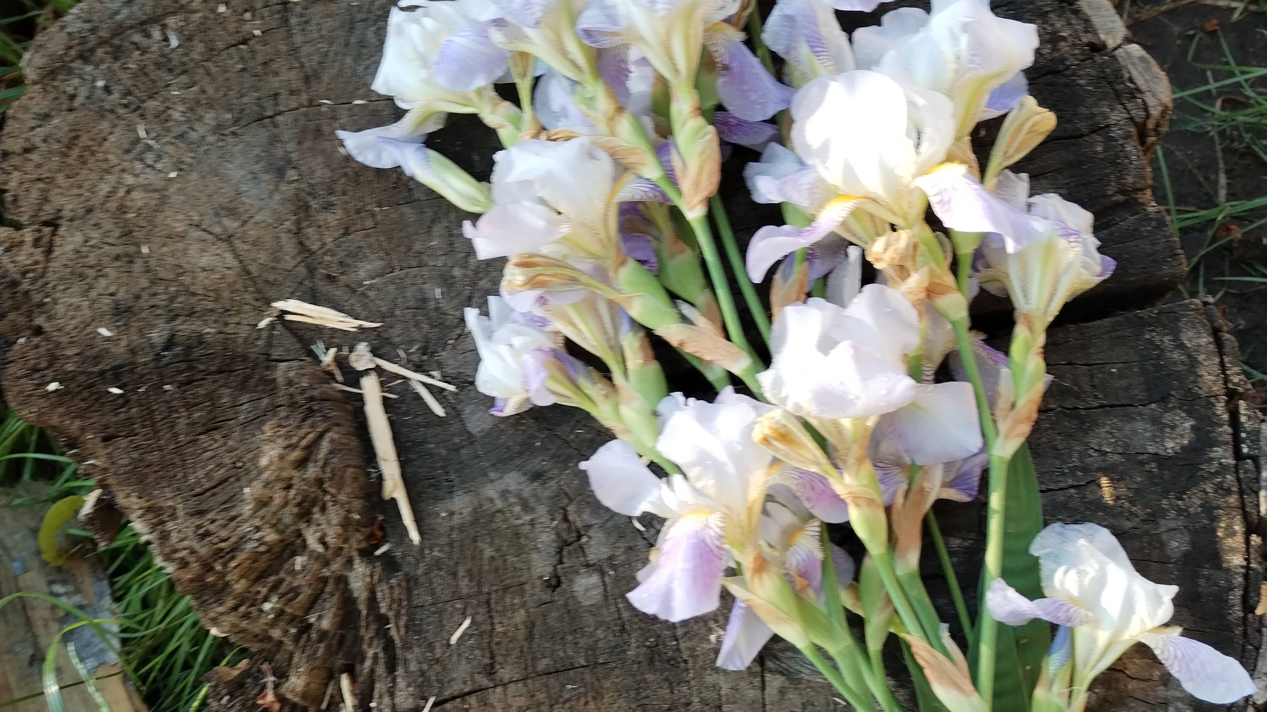 Вязовлог: три пары новых спиц, довязала джемпер. Много вяжу и много болтаю)))