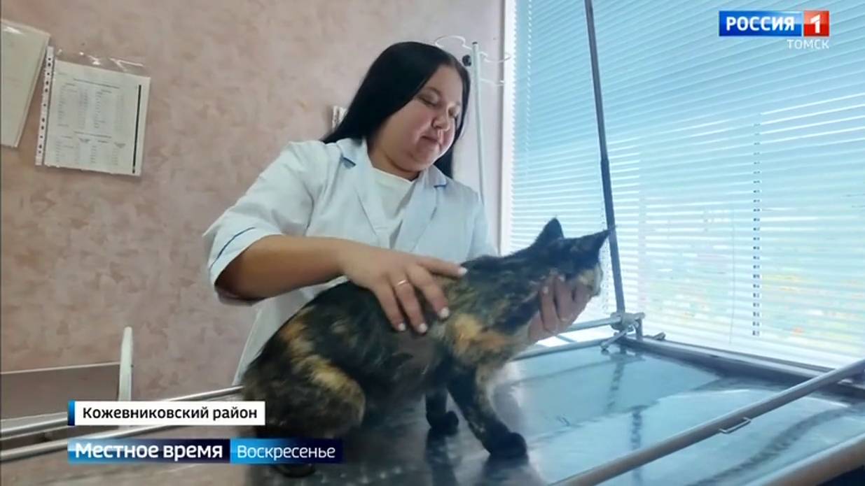 Вести. События недели, выпуск от 01.09.2024