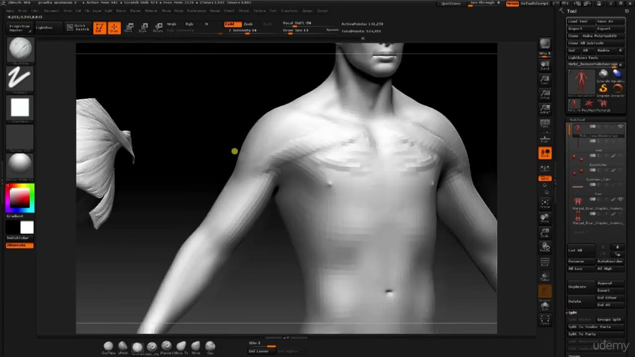 Anat Vol 01 07  Pectorals 1 2