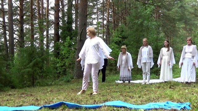 Чайка Джонатан Ливингстон